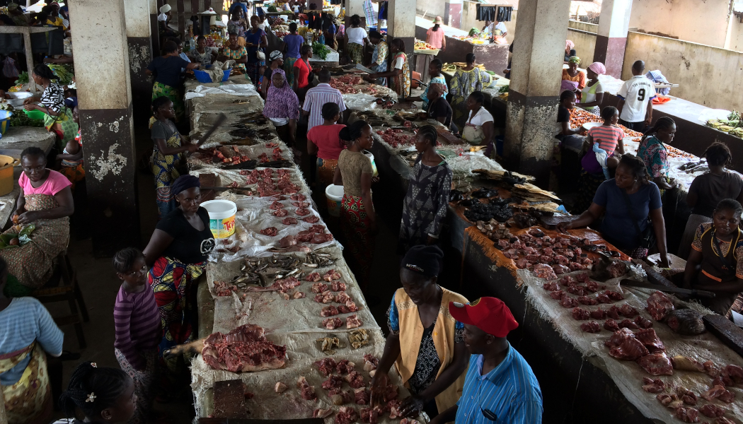 Bushmeat from all perspectives | Royal Museum for Central Africa ...